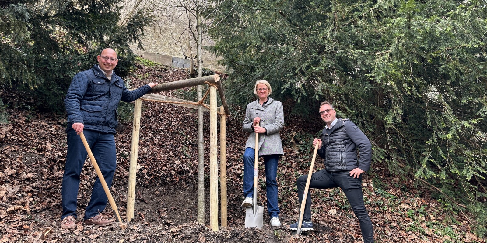 Klima, Umwelt & Natur 〉 Rot-Eiche wächst für die Landesgartenschau: OB ...